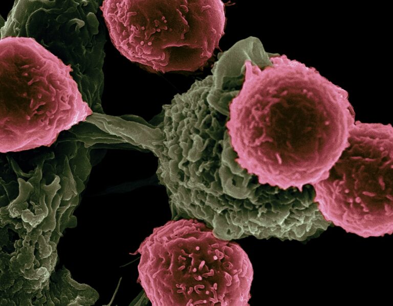 The Science & SciLifeLab Prize for Young Scientists