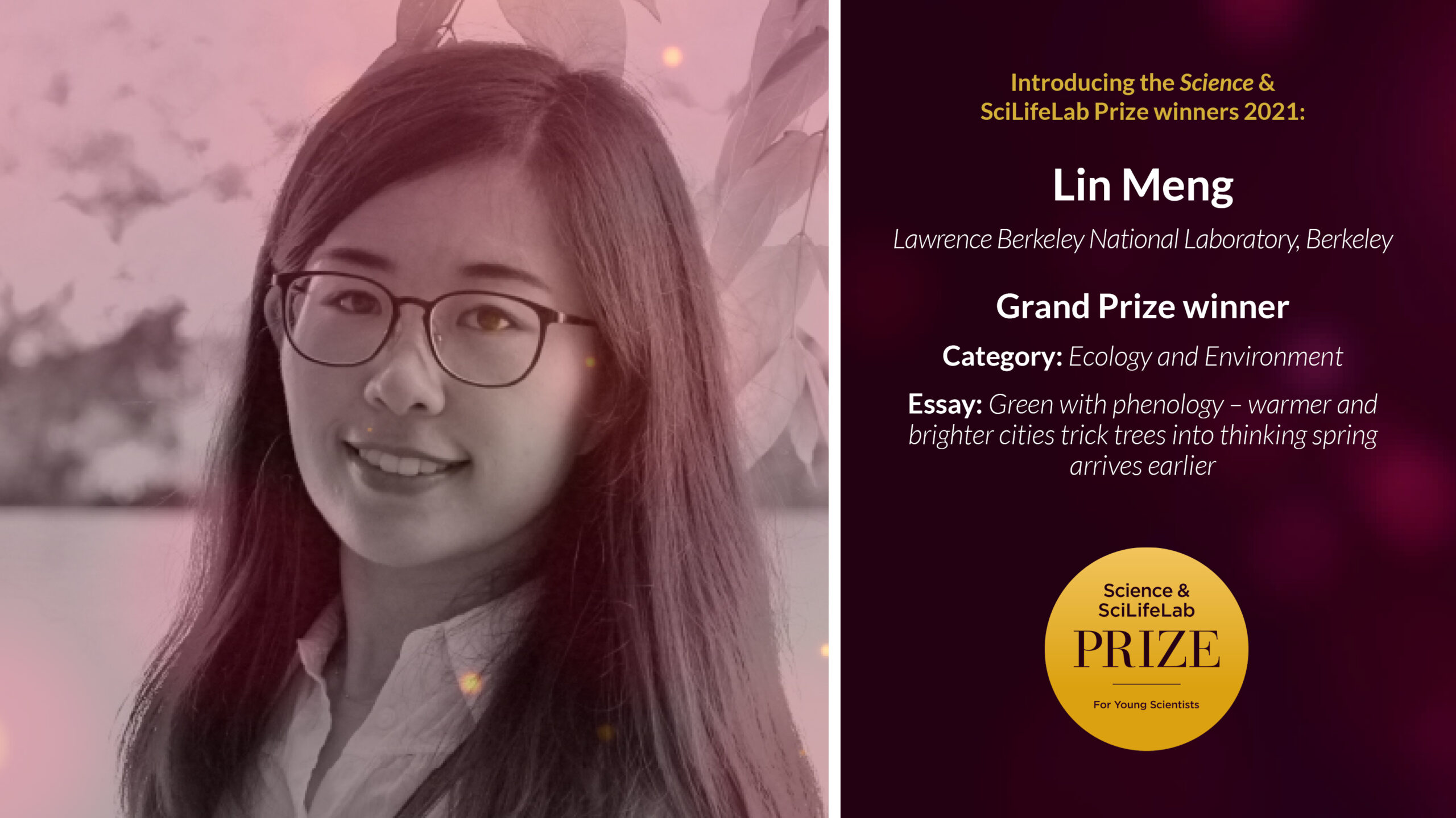 Lin Meng » Science Prize